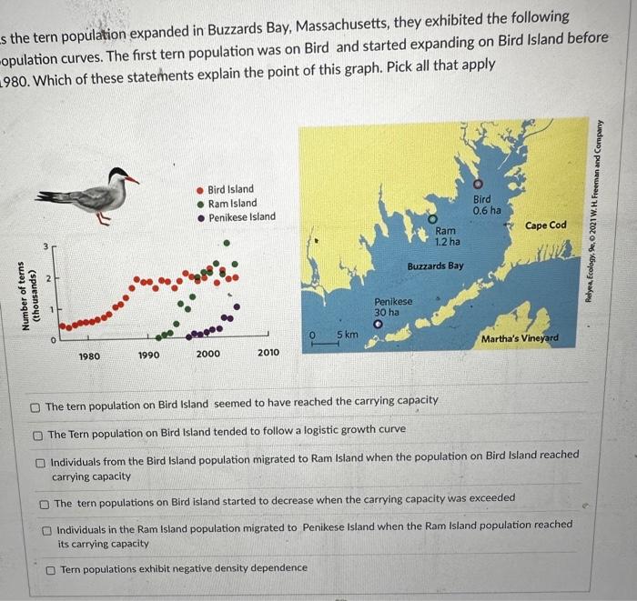 Solved s the tern population expanded in Buzzards Bay, | Chegg.com