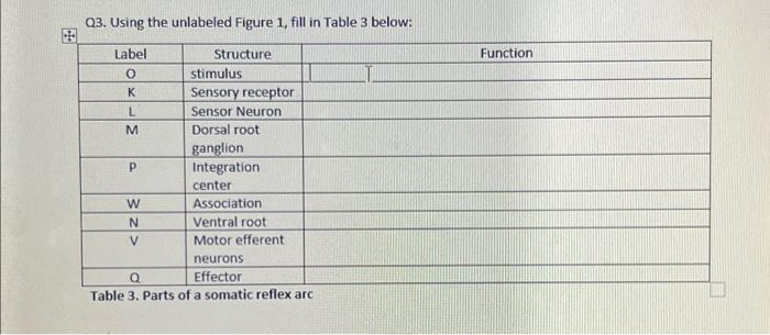 Solved Q3. Using the unlabeled Figure 1 , fill in Table 3 | Chegg.com
