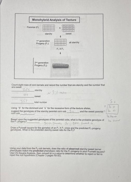Solved Based on the phenotype of the F1 generation, which | Chegg.com