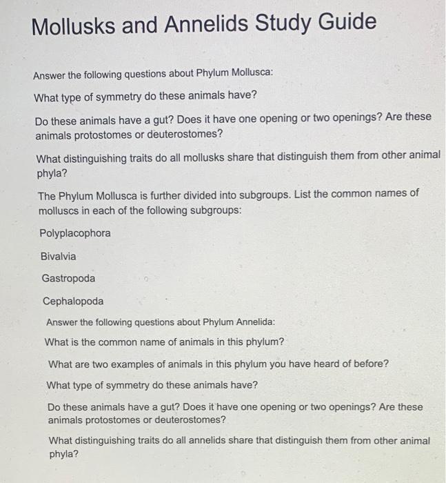 Solved Mollusks and Annelids Study Guide Answer the | Chegg.com
