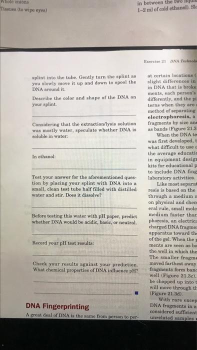 splint into the tube. Gently turn the splint as you | Chegg.com