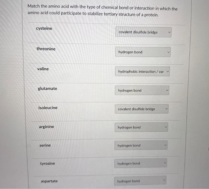 Solved Match the amino acid with the type of chemical bond | Chegg.com