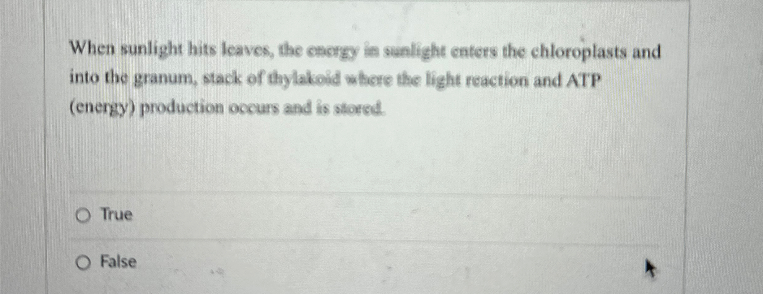 Solved When sunlight hits leaves, the encrgy in sunlight | Chegg.com
