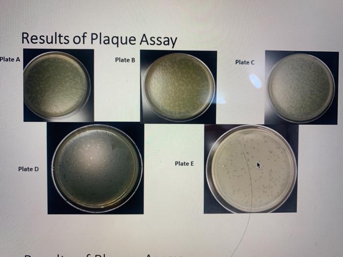 Solved Results of Plaque Assay Plate A Plate B Platec Plate | Chegg.com