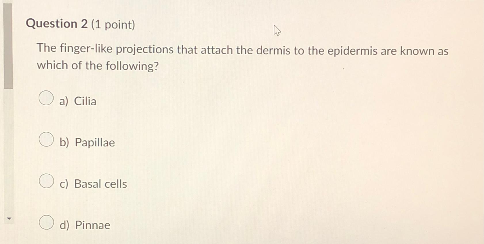Solved Question 2 (1 ﻿point)The finger-like projections that | Chegg.com