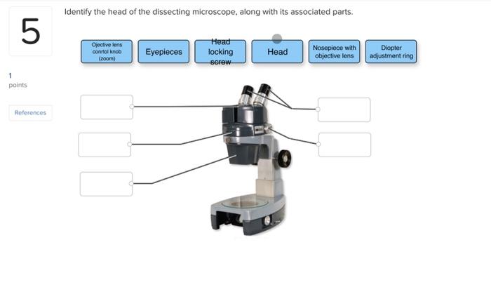 Solved Identify the head of the dissecting microscope, along | Chegg.com