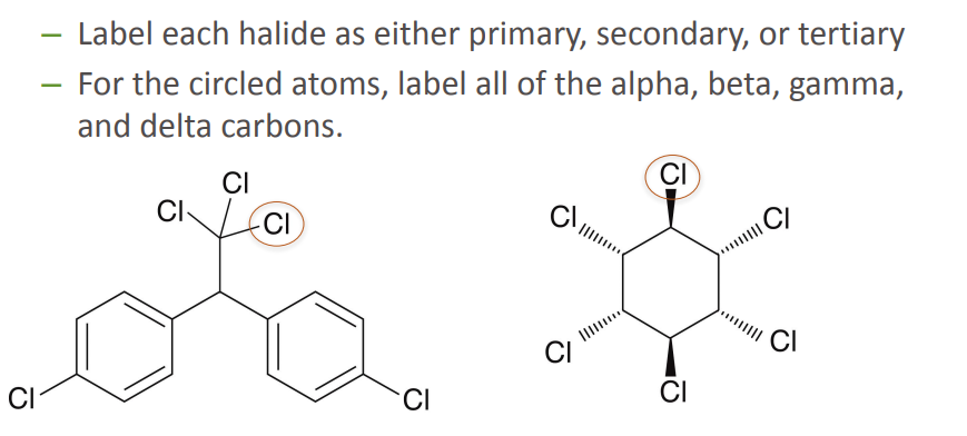Solved Label each halide as either primary, secondary, ﻿or | Chegg.com
