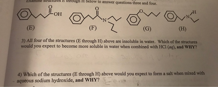 Solved Examine structures E through H below to answer | Chegg.com Solved Examine structures E through H below to answer | Chegg.com