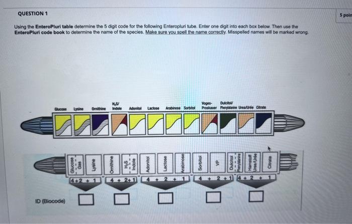Solved Using the EnteroPluri table determine the 5 digit | Chegg.com