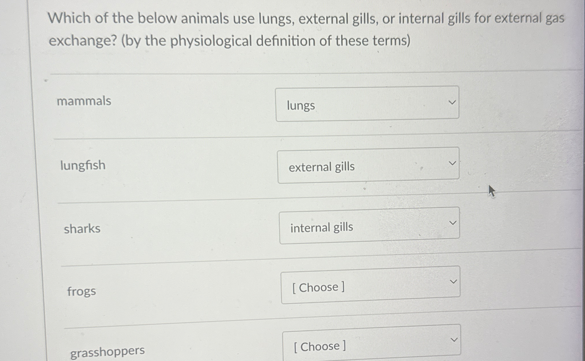 Solved Which of the below animals use lungs, external gills, | Chegg.com