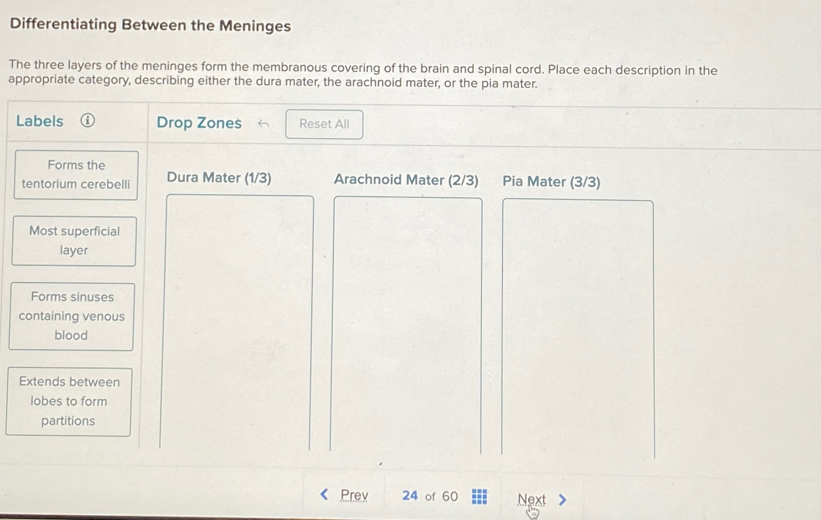 Solved Differentiating Between the MeningesThe three layers | Chegg.com