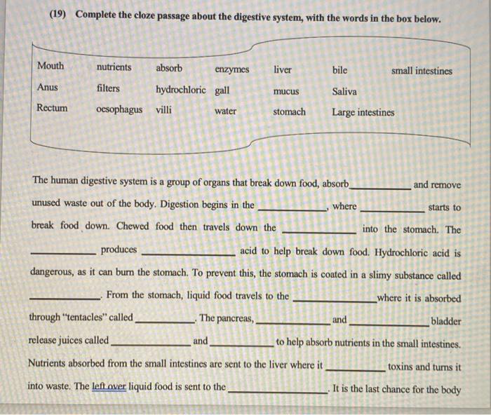Solved (19) Complete the cloze passage about the digestive | Chegg.com