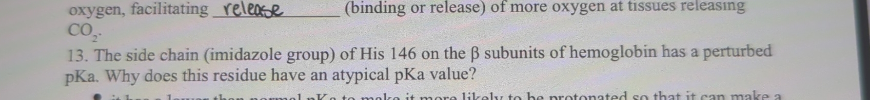 Solved The side chain (imidazole group) ﻿of His 146 ﻿on the | Chegg.com
