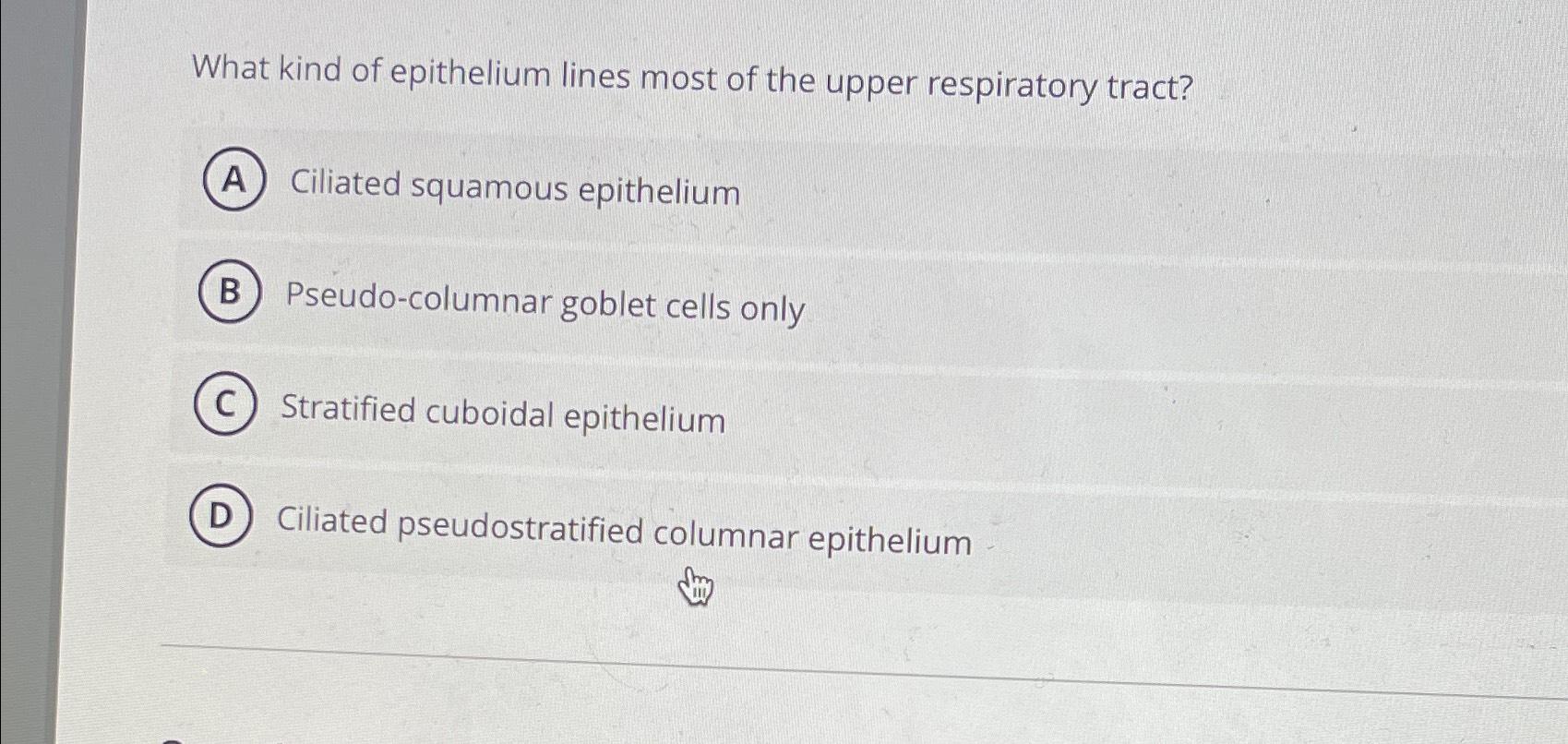 Solved What kind of epithelium lines most of the upper | Chegg.com