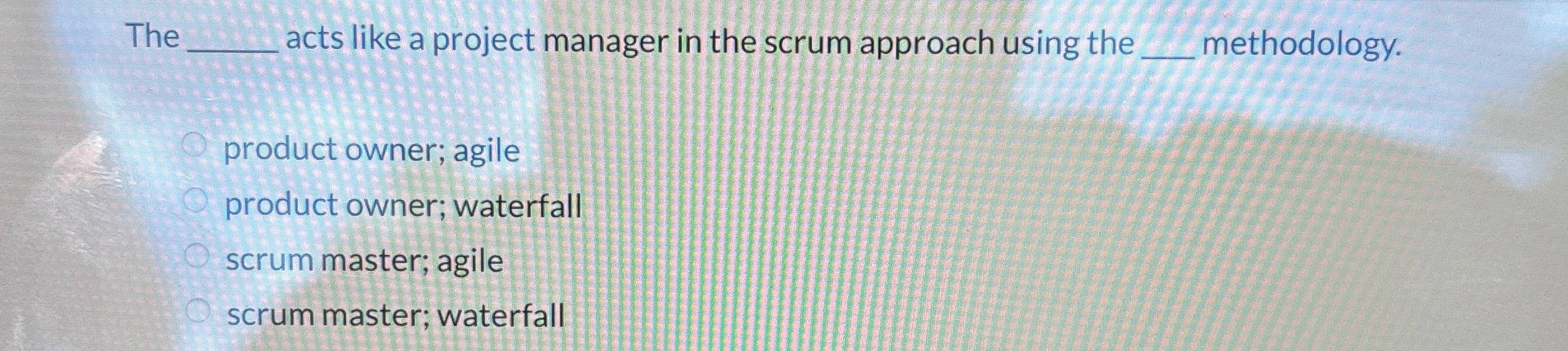 Solved The ____ ﻿acts like a project manager in the scrum | Chegg.com