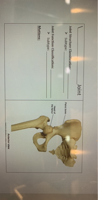 Solved Joint Joint Structure Classification: Subtype: | Chegg.com