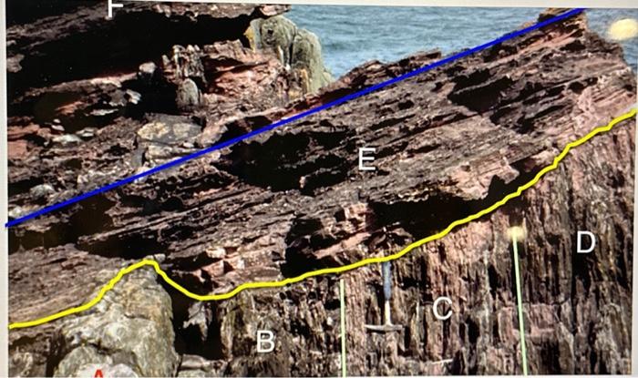 Solved list a complete sequence of events through layer f. | Chegg.com