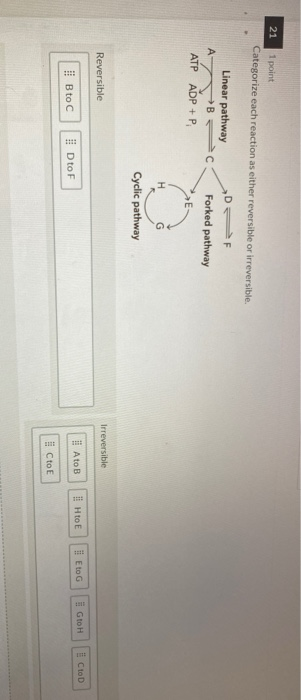 Solved 21 1 point Categorize each reaction as either | Chegg.com
