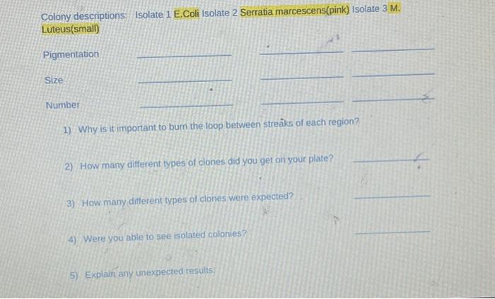 Colony descriptions: Isolate 1 E.Coli Isolate 2 | Chegg.com