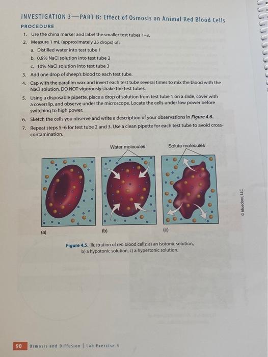 Solved INVESTIGATION 3-PART B: Effect of Osmosis on Animal | Chegg.com
