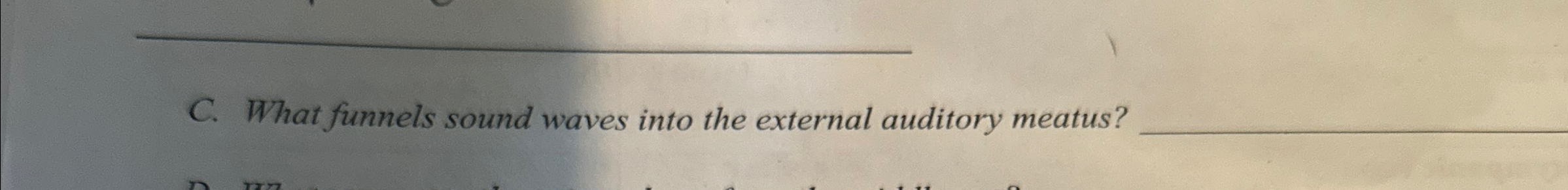 Solved C. ﻿What funnels sound waves into the external | Chegg.com