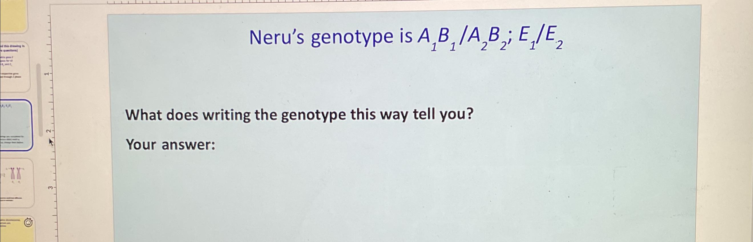 Solved Neru's genotype is A1B1A2B2;E1E2What does writing the | Chegg.com