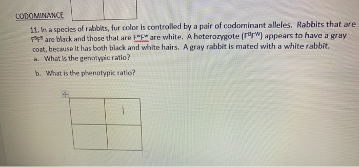 Solved CODOMINANCE 11. In a species of rabbits, fur color is | Chegg.com