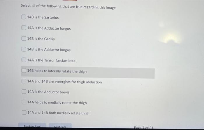 Solved 14A 14B Select all of the following that are true | Chegg.com