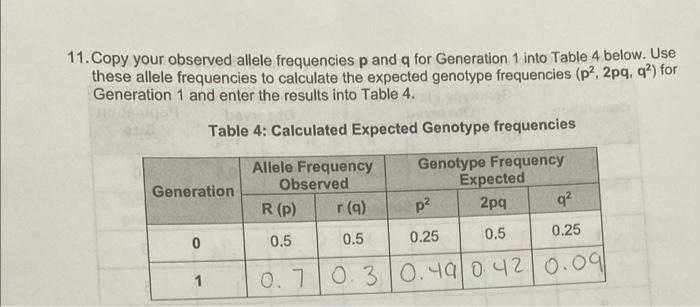 11. Copy your observed allele frequencies p and q for | Chegg.com