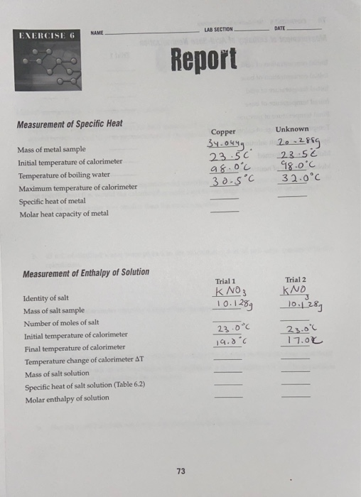 DATE LAB SECTION NAME EXERCISE 6 Report Measurement | Chegg.com