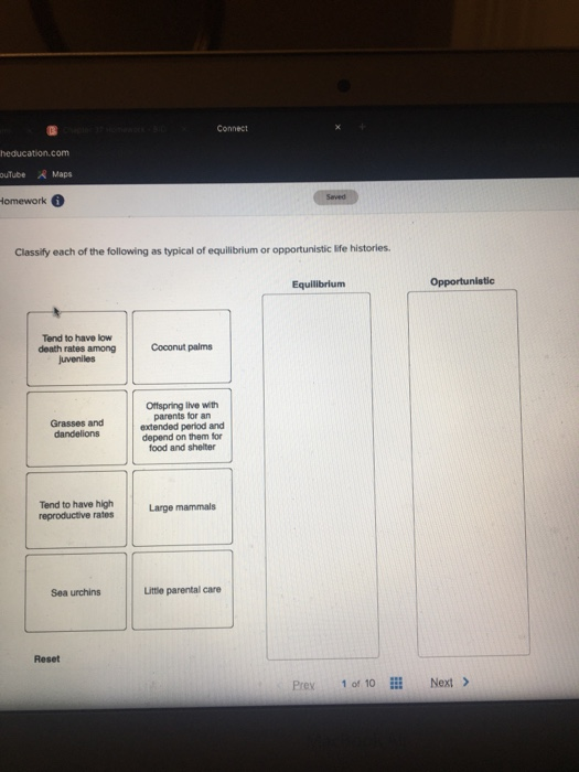 Connect heducation.com ouTube Maps Homework Seved | Chegg.com