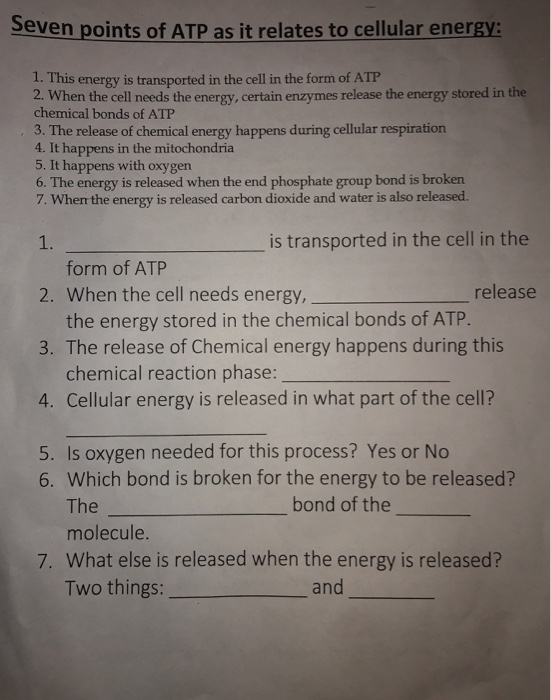 Solved Seven Points Of Atp As It Relates To Cellular Energy