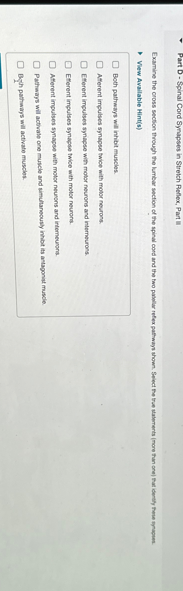 Solved Part D - ﻿Spinal Cord Synapses in Stretch Reflex, | Chegg.com