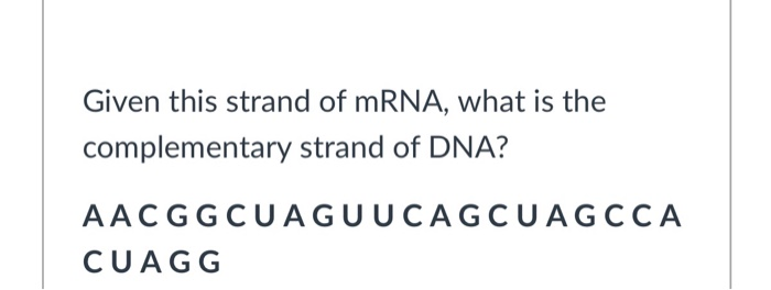Solved Given this strand of mRNA, what is the complementary | Chegg.com