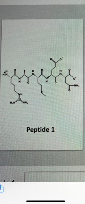 Solved Instructions: Type the one-letter code for each of | Chegg.com