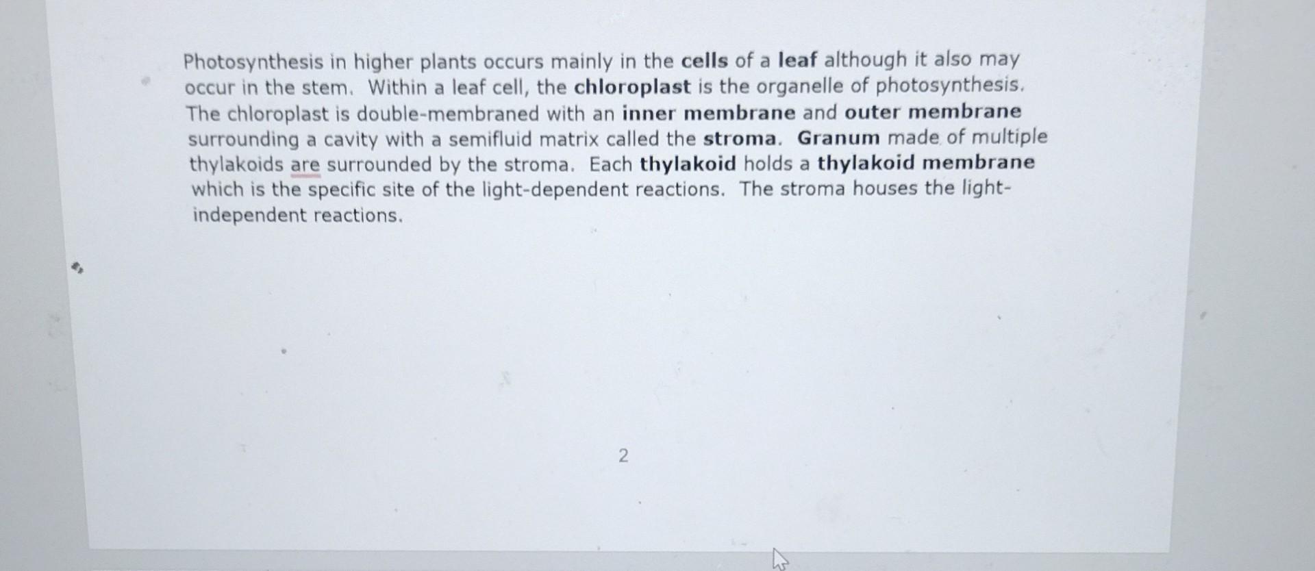 Solved Photosynthesis in higher plants occurs mainly in the | Chegg.com