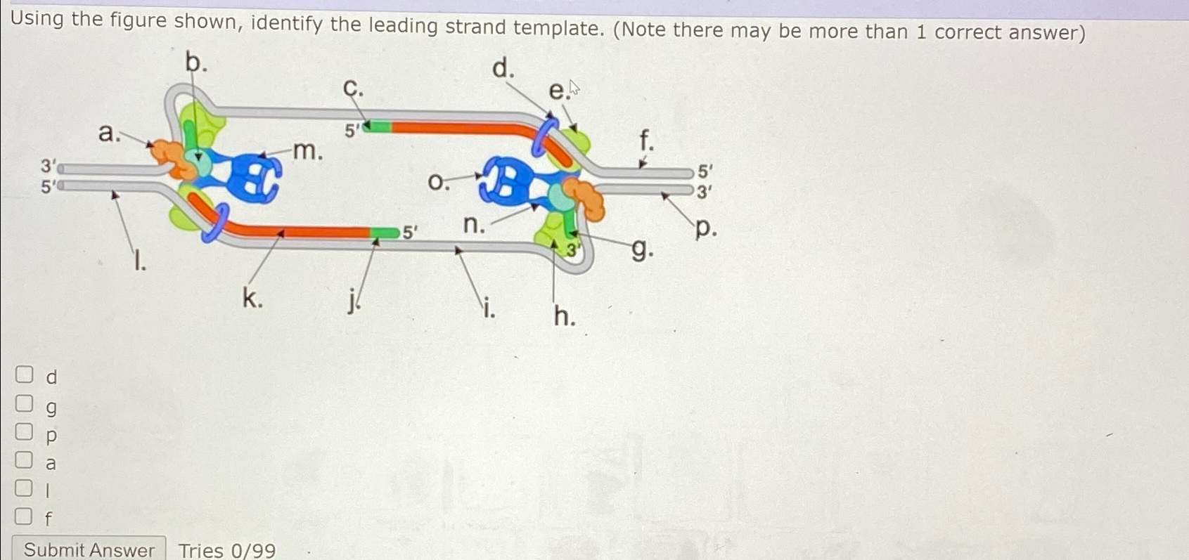 Solved Using the figure shown, identify the leading strand | Chegg.com