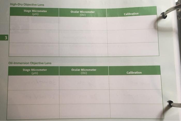 Solved High-Dry Objective Lens Stage Micrometer (um) Ocular | Chegg.com