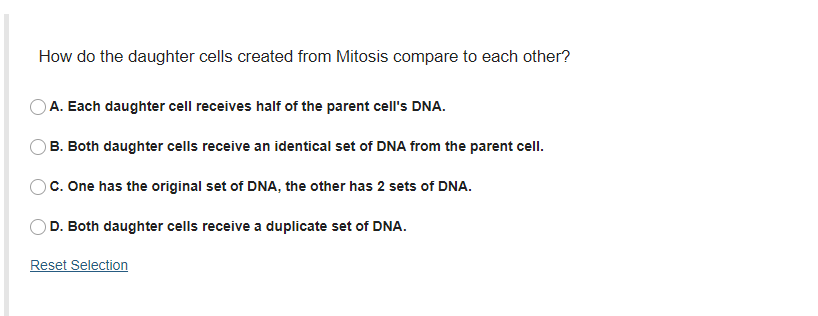 Solved How do the daughter cells created from Mitosis | Chegg.com