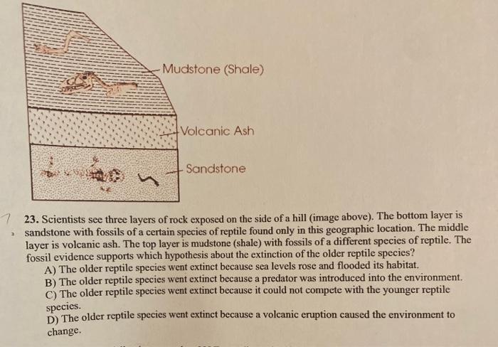 Solved Mudstone (Shale) Volcanic Ash -Sandstone 7 23. | Chegg.com