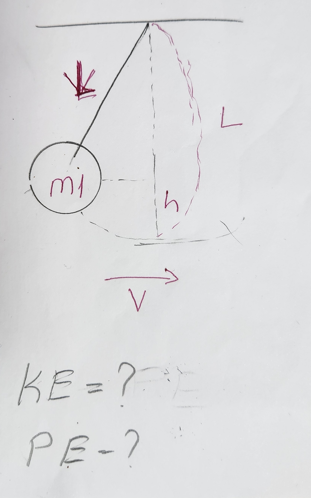 KE=PE=Neglect the mass of the rodKE=PE= | Chegg.com
