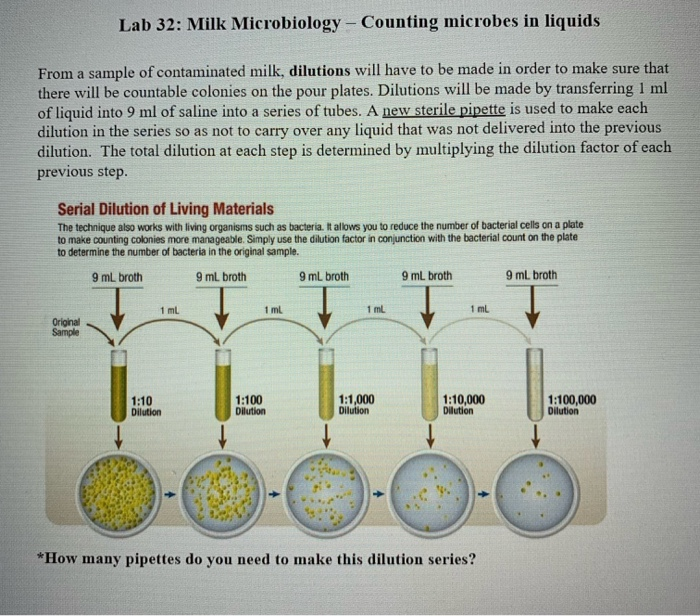 Solved Lab 32: Milk Microbiology - Counting microbes in | Chegg.com