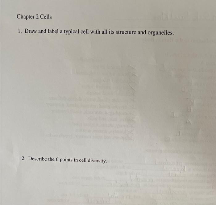 Solved Chapter 2 Cells 1. Draw and label a typical cell with | Chegg.com