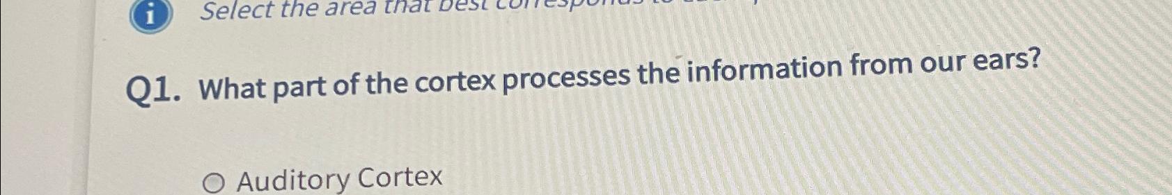 Solved Q1. ﻿What part of the cortex processes the | Chegg.com