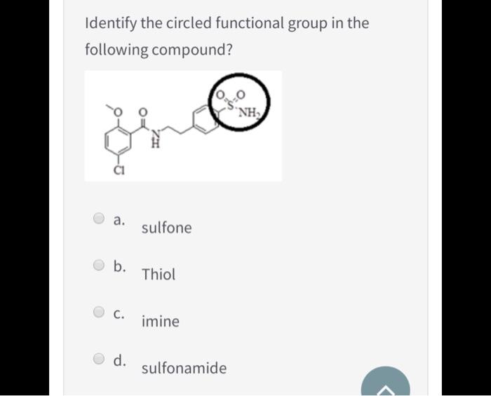 Solved Identify the circled functional group in the | Chegg.com
