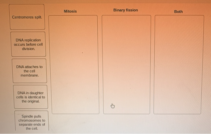 Solved Binary fission Mitosis Both Centromeres split. DNA | Chegg.com