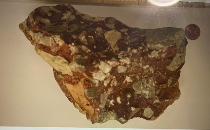 Solved LG 101 6 SEDIMENTARY ROCK IDENTIFICATION | Chegg.com