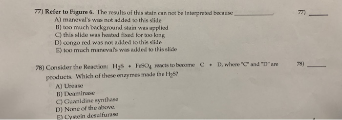 Solved 77) Refer to Figure 6. The results of this stain can | Chegg.com