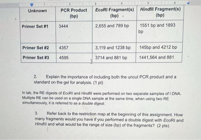 Solved Restriction map detailing the cut sites of Hindill | Chegg.com
