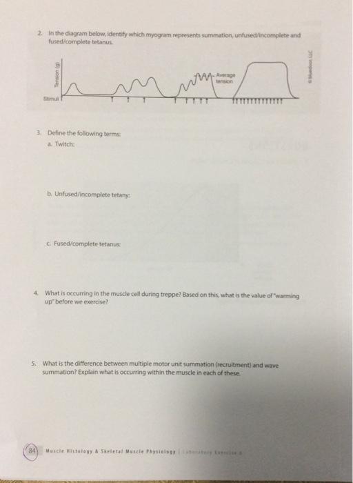Question: 2. In The Diagram Below, Identity Which Myogram Represents ... Question: 2. In The Diagram Below, Identity Which Myogram Represents ...